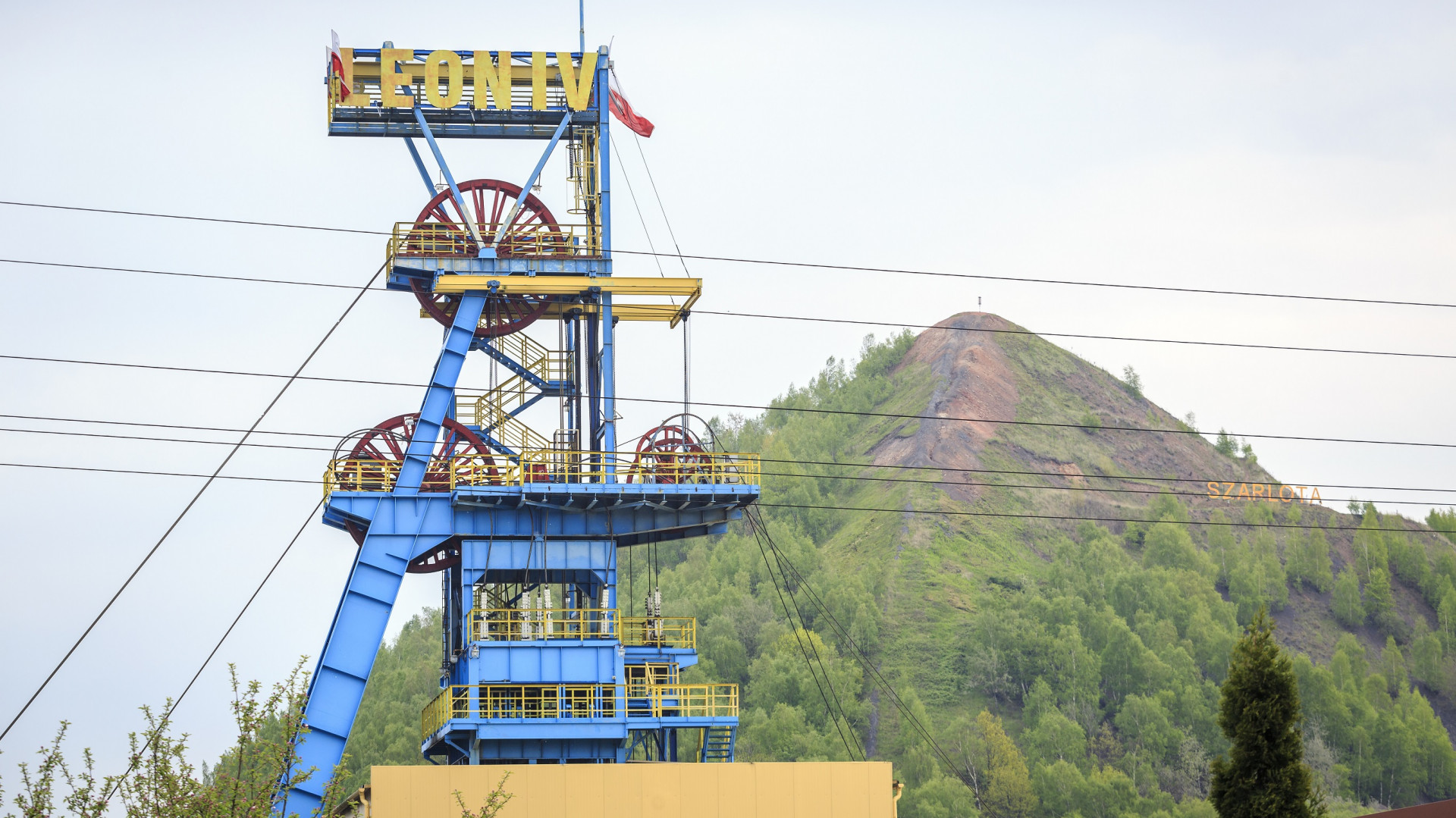 Rydułtowy - radni miejscy oraz burmistrz - samorządowcy kadencji 2018-2023