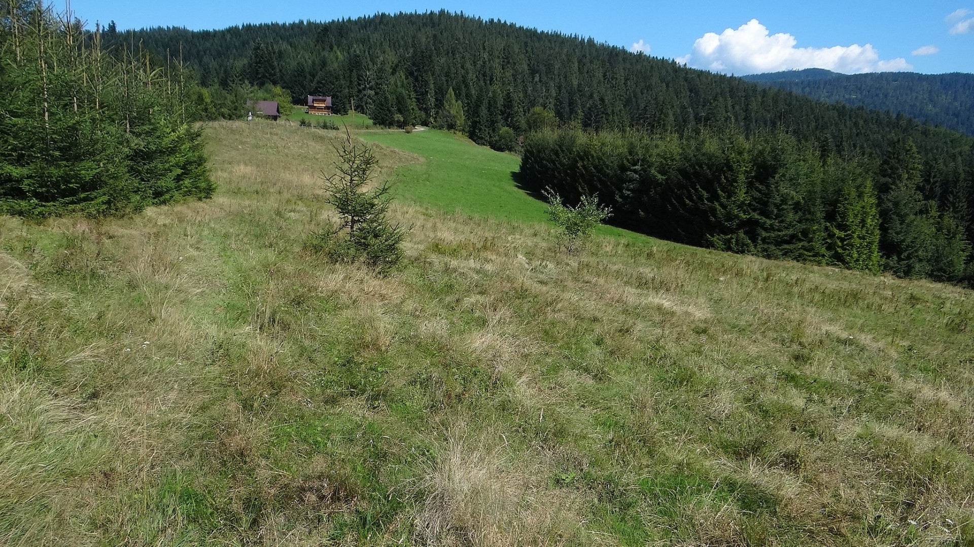 Powiat nowotarski - radni powiatowi oraz burmistrz - samorządowcy ...